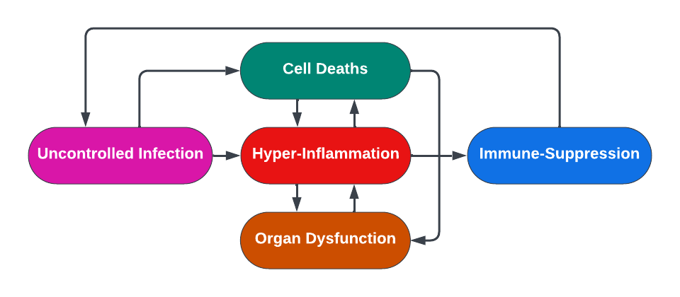 Research | Hwang-Lab